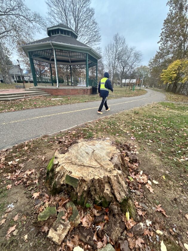 Ensuring preservation: Muskingum Park tree carvings are being relocated ...
